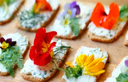 Conheça dez Flores comestíveis e dicas úteis antes de comer – Arquivo ...