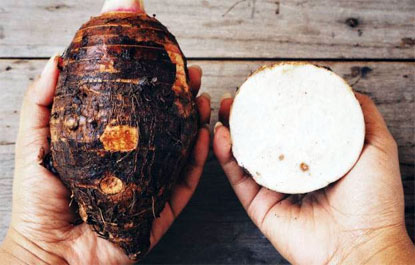 Saiba como plantar inhame em casa e confira o passo a passo e cuidados ...